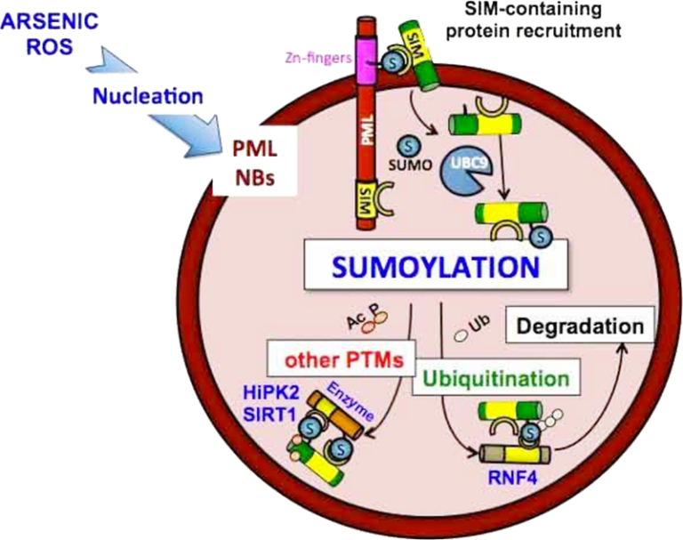 Team DE THÉ - Gen Cell Dis